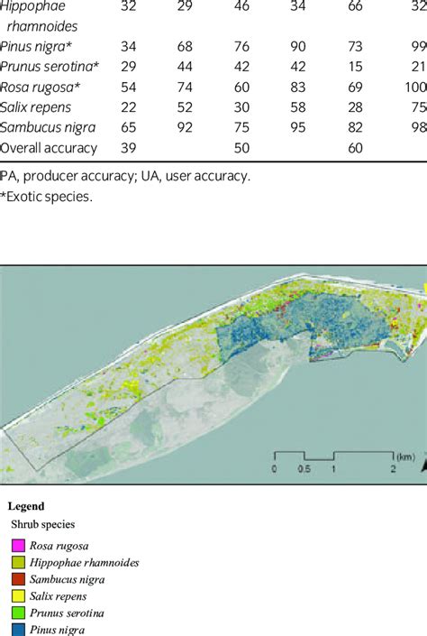 overview of the classification results obtained with the different