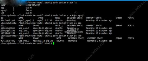 Docker Stack 多项目网络互通案例 左搜