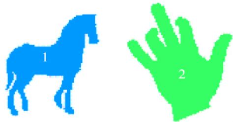 Binary And Component Labeling Download Scientific Diagram