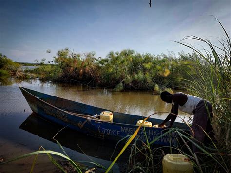 Biodiversity Gains And Losses The River Yala Basin Now Photostory