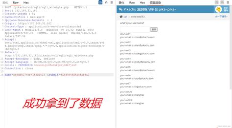 【网络安全 Sql注入（1）】你知道什么是sql注入吗？知道如何通过sql注入来控制目标服务器吗？一篇文章教你sql注入漏洞的原理及方法sql注入回显 Csdn博客