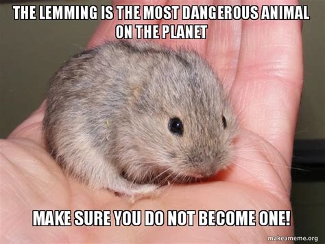 The Lemming Is The Most Dangerous Animal On The Planet Make Sure You Do