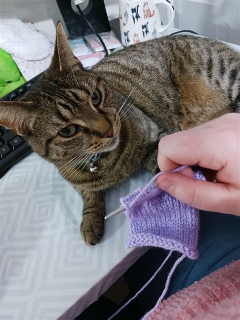 Standard Issue Helper Rkitting