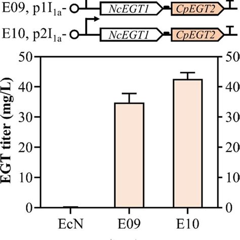 Application Of Engineered Cryptic Plasmids In The Production Of Sa A Download Scientific