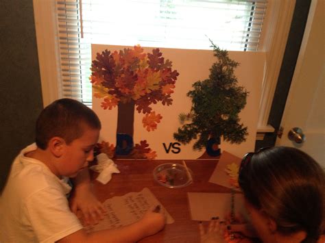Babe Project Trees Babe Projects Painting Art