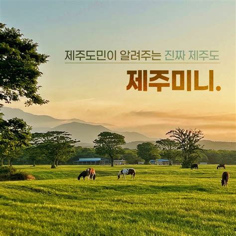 이달의 Tips 제주미니 키위스튜디오 아토맘코리아 웍스비 메이저맵 씨그로 에듀템 플래텀