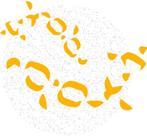 Dapiglutide Pipeline Zealand Pharma