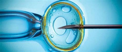 What Is Cytoplasmic Transfer Core Spirit