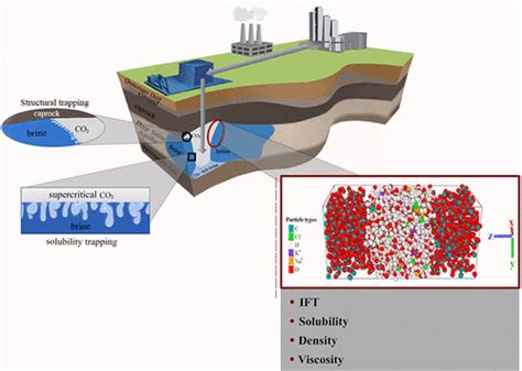Simultaneous Prediction Of Equilibrium Interfacial And Transport