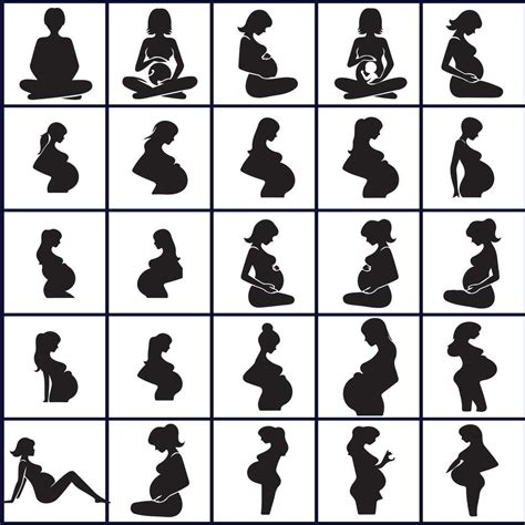 Creative Pregnant Women Silhouettes Design On A White Background