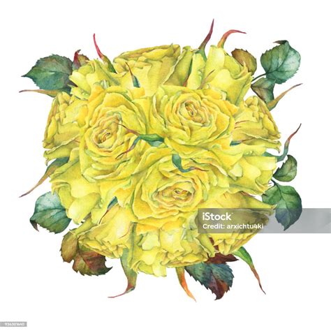 노란 황금 장미 웨딩 부케입니다 핸드는 흰색 바탕에 수채화 그림을 그려 개화기에 대한 스톡 벡터 아트 및 기타 이미지 개화기 결혼식 경관 Istock