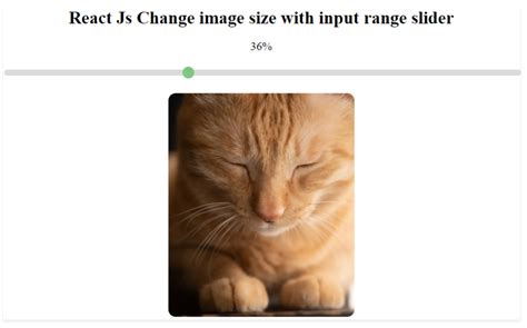 React Js Change Image Size With Slider Input Range Slider