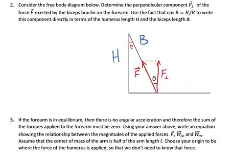 Solved 3if The Forearm Is In Equilibrium Then There Is No