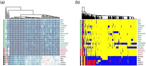 Differentiation Related Variation Of Histone Modification Patterns A Download Scientific