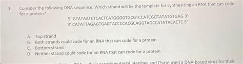 Solved Consider The Following DNA Sequence Which Strand Chegg
