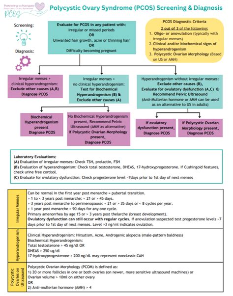 Pcos Clinical Resources Before Between And Beyond Pregnancy