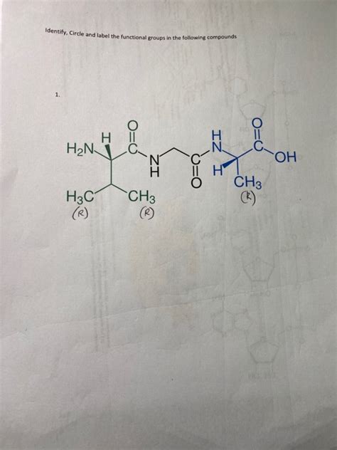 Solved Identify Circle And Label The Functional Groups In Chegg