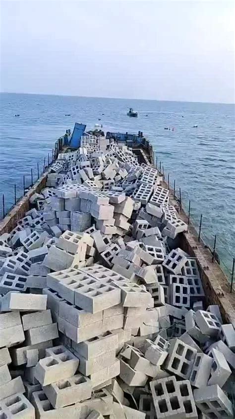 Dropping Blocks In The Ocean Creates Artificial Reefs Providing