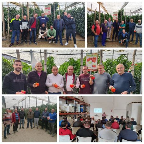 Moti Shmueli On Linkedin Great