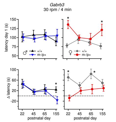 figures and data in sex differences in cerebellar synaptic transmission