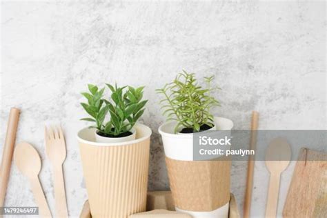 생분해 성 및 지속 가능한 식품 및 음료 패키지와 환경 친화적 인 포장을위한 식물 냄비 0명에 대한 스톡 사진 및 기타 이미지 0명 갈색 갈색 용지 Istock
