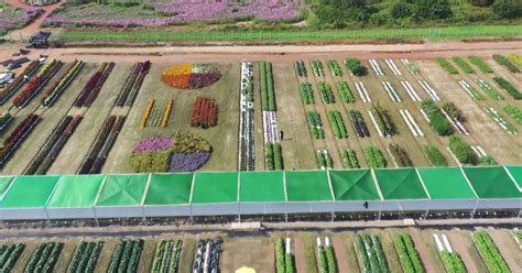 종자에서 농업의 미래를 보다 2024국제종자박람회