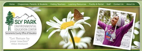 Matsuyama Matsuyama Elementary School Mighty Pines