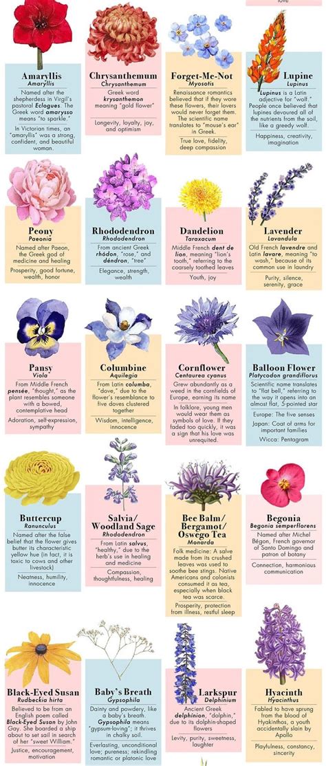 Floral Color Meaning