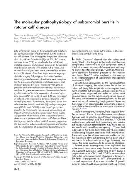 Pdf The Molecular Pathophysiology Of Subacromial Bursitis In Rotator