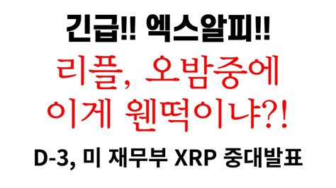 리플 미쳤습니다 리플 오밤중에 이게 웬떡이냐 대박입니다 D 3 미 재무부 Xrp 중대발표 엑스알피 무조건 올라요