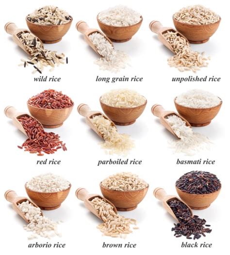 10 Countries That Export The Most Rice In The World Insider Monkey