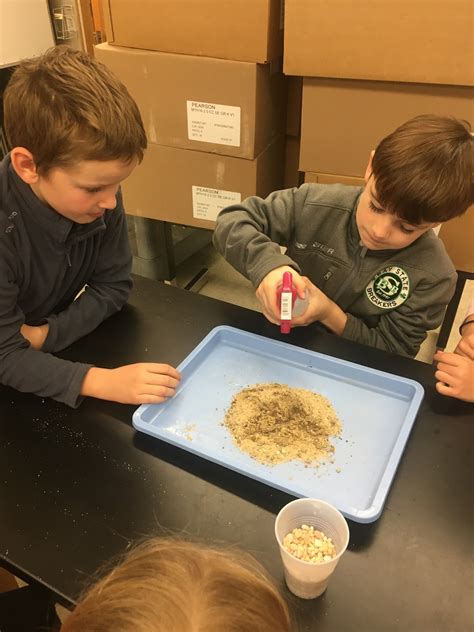 Second Grade With Mrs A Second Grade Stem Lab Second Grade With Mrs A Second Grade Stem Lab