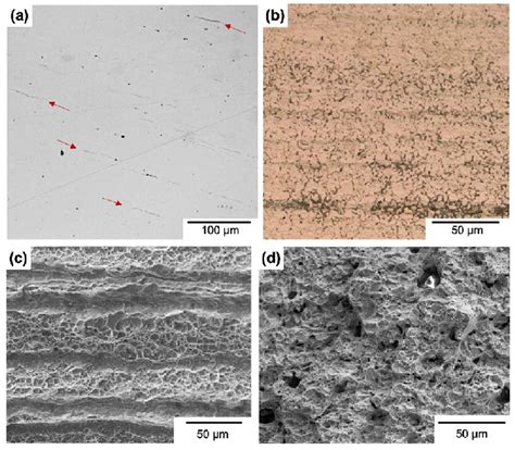 A Light Optical Microscopy Of Mn Rich Segregation Bands In 22mnb5 Download Scientific Diagram