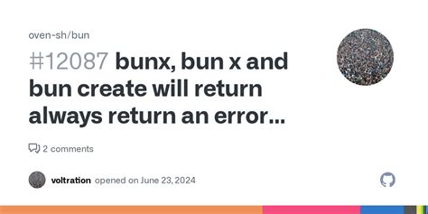 Bunx Bun X And Bun Create Will Return Always Return An Error Windows