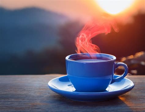 java java24 openjdk programming softwaredevelopment backend