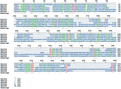 Multiple Sequence Alignment Of Pspa Constructs The Sequences Were