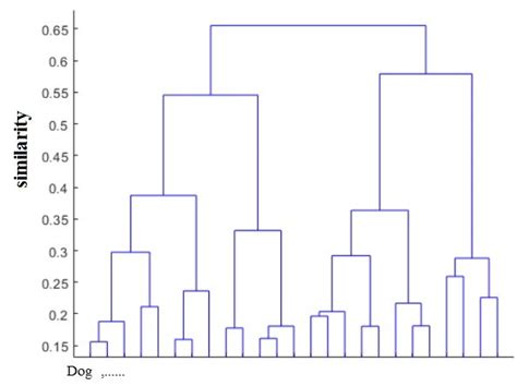 78 Questions With Answers In Dendrogram Science Topic