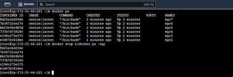 Docker Stop Command A Complete Tutorialdefnitionsyntaxexamples Geeksforgeeks