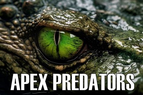 Apex Predators What They Are Why They Exist And Species List Ultimate