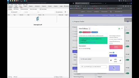 Intro To Burp Picoctf 2024 Comprehensive Web Exploitation