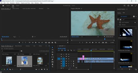Solved Inserting A Clip Between Sequences Is Not Working Adobe