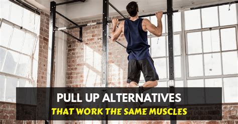 Highly Effective Pull Up Alternatives For All Levels