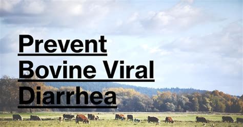 Premium Ai Image Bovine Viral Diarrhea
