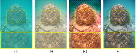 figure 1 from drgan dense residual generative adversarial network for
