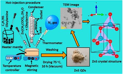 Carbon Nanostructure Embedded Novel Sensor Implementation For Detection