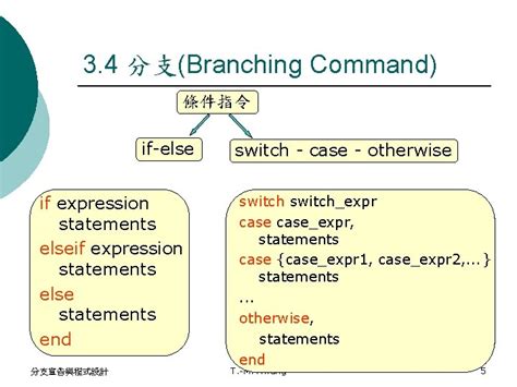 3 4 Branching Command Ifelse If Expression Statements