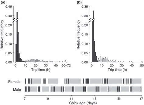 Frequency Distribution Of The Foraging Trip Durations Of Little Auks Download Scientific