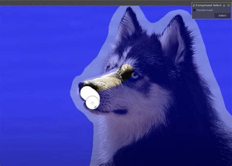 How To Remove Background In Gimp 5 Methods Unlimited Graphic Design