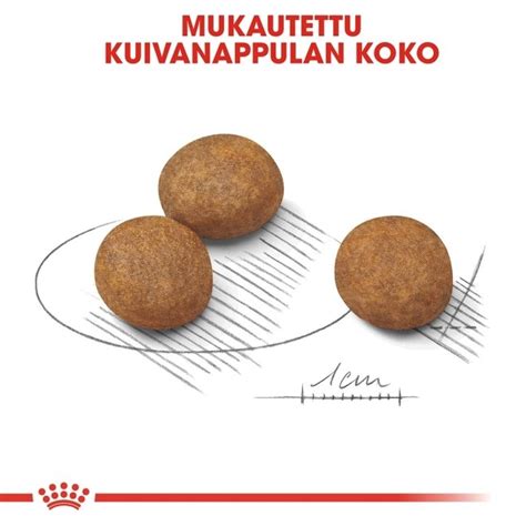 Royal Canin Maxi Puppy koiranpennun kuivaruoka | Musti ja Mirri