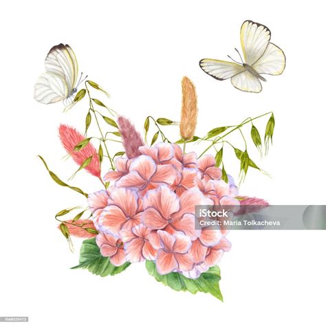 펄럭이는 나비와 섬세한 꽃다발 수국 Lagurus 야생 귀리 양배추 흰색 배경에 분리된 구성 초대장 카드 문구류 라벨 디자인 건조한에 대한 스톡 벡터 아트 및 기타 이미지